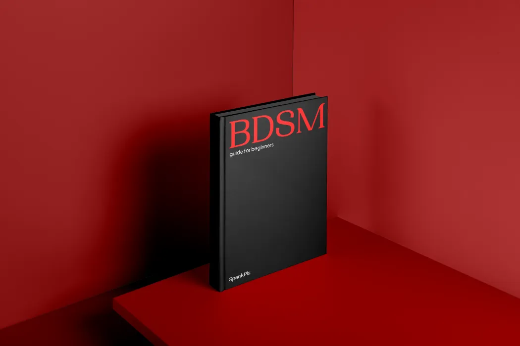 Just In: BDSM Guide for Beginners